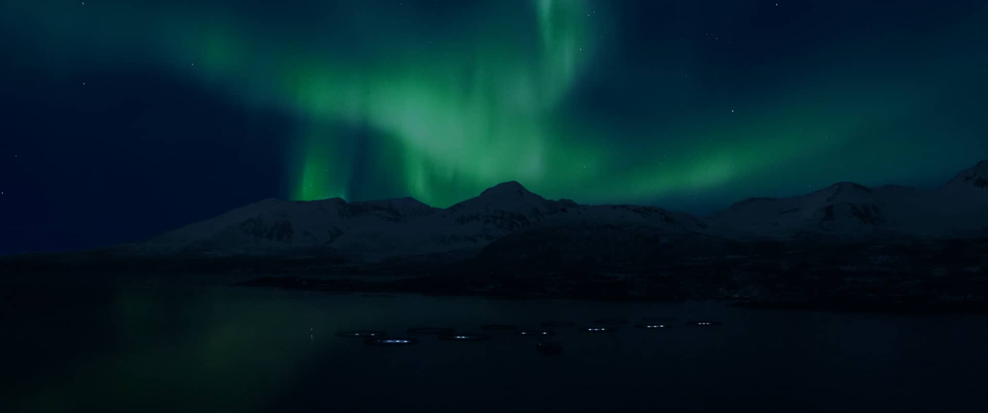 Stingray - Vision based on precision on Vimeo