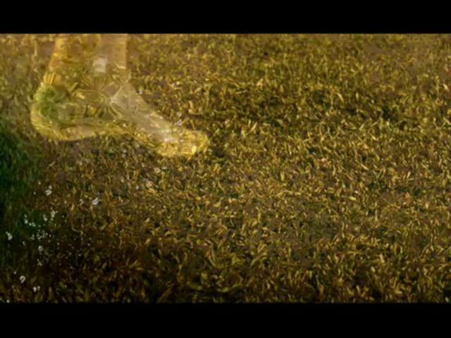 Sergio Azpeitia Reel '09 on Vimeo