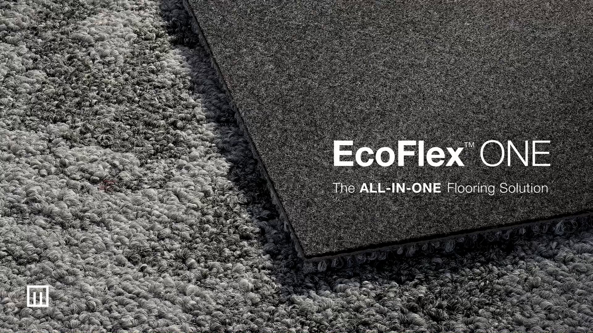 EcoFlex ONE