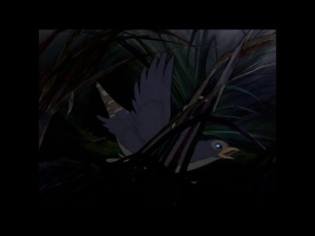 Louis L. Edemann on Vimeo