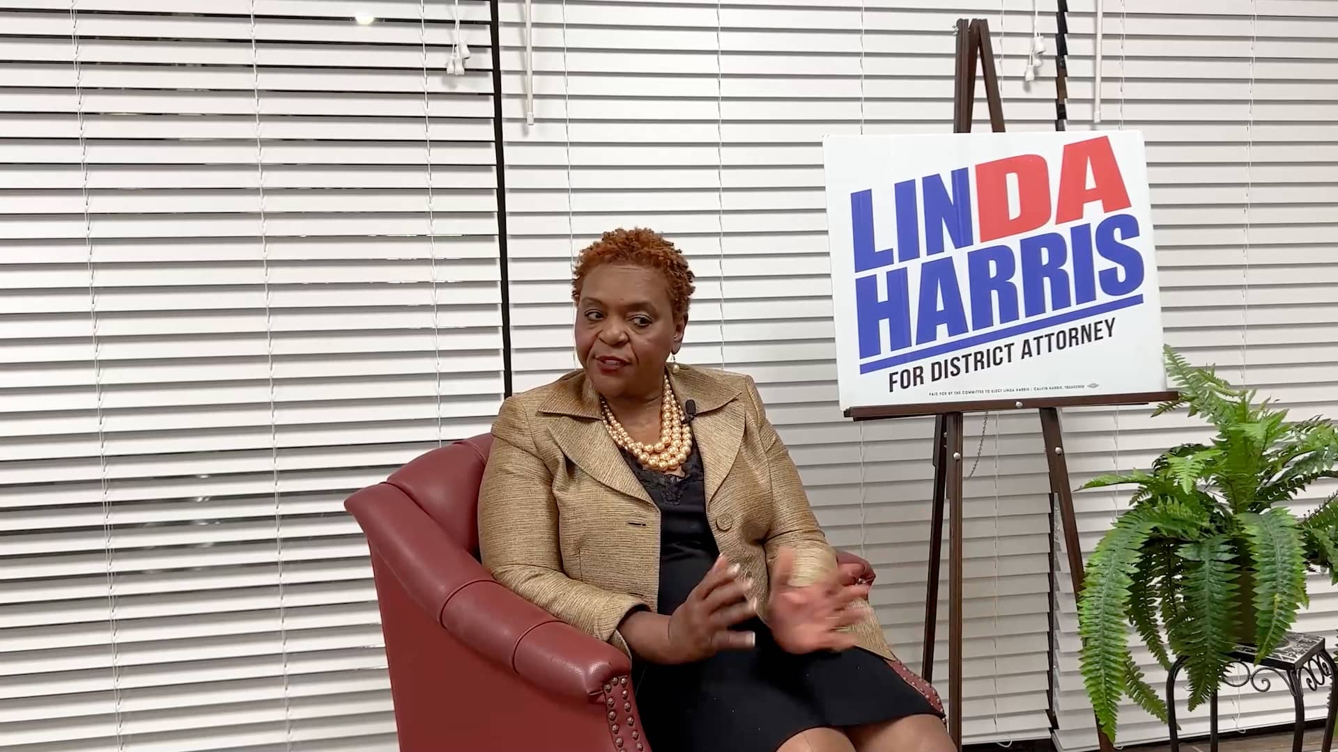 An Introduction to my Platform - Linda Harris on Vimeo