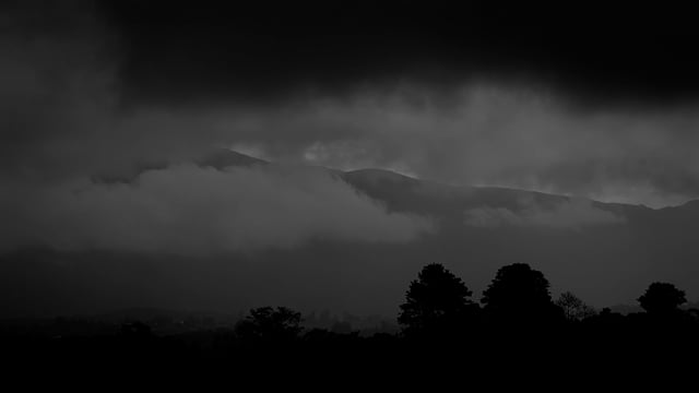 Landscape Nature Winds - Free video on Pixabay