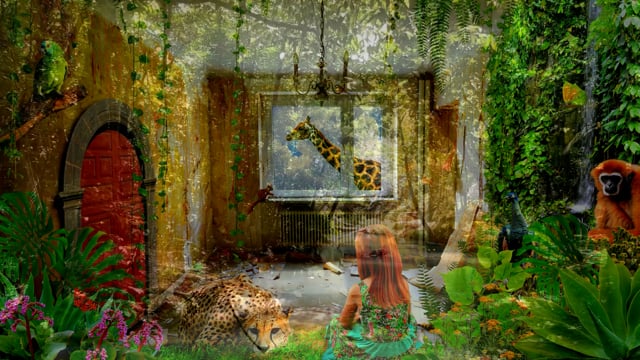 Jungle In Essence, Natural World, In Nature. Free Stock Video - Pixabay