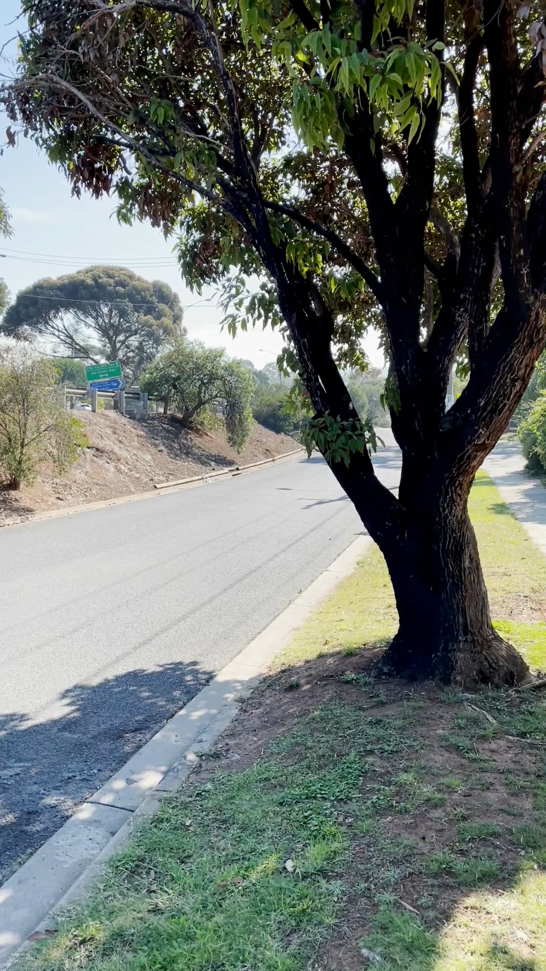 Treehouse on the Hill - ep 1 - video 5 on Vimeo