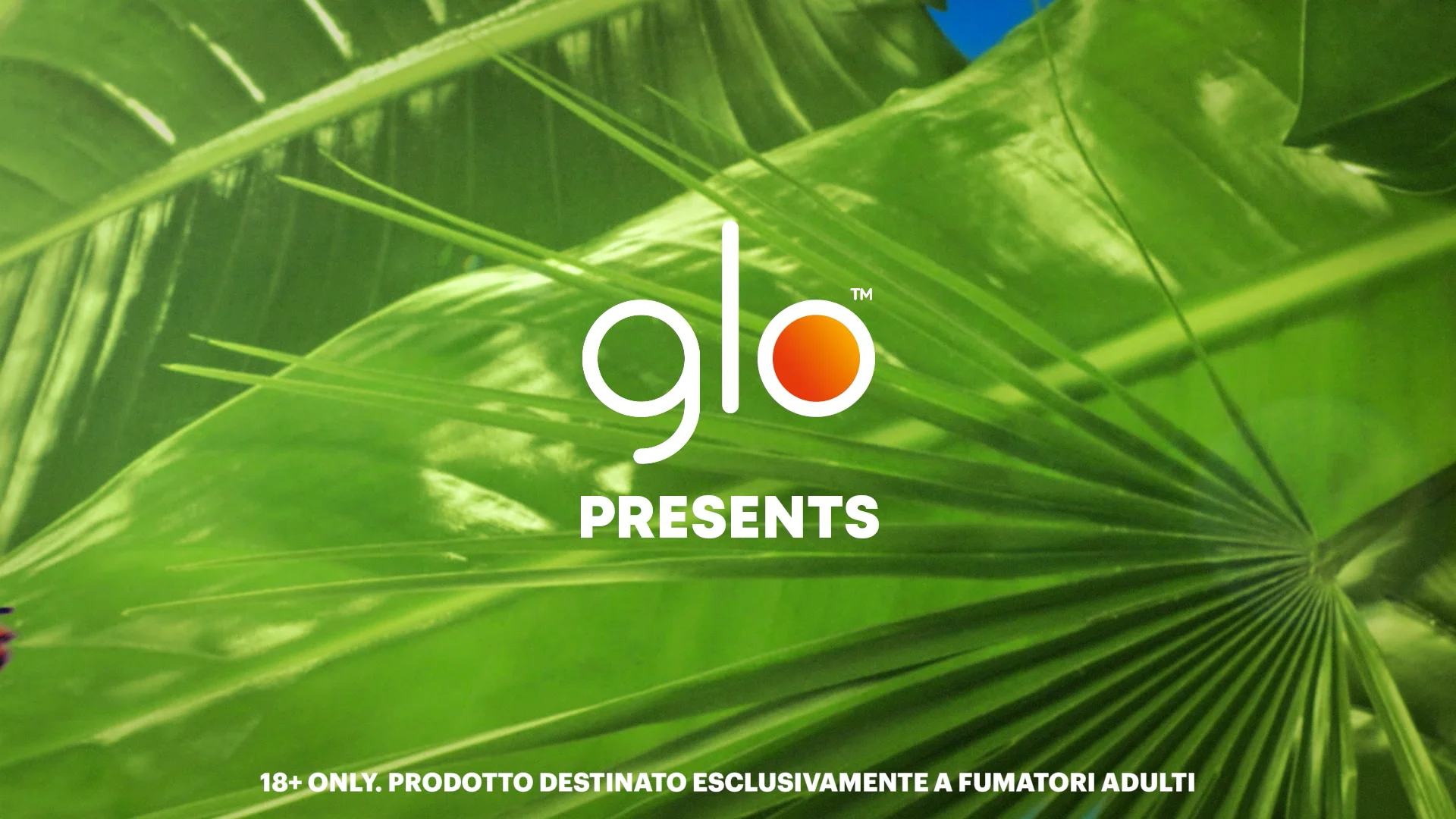 GLO TEASER on Vimeo