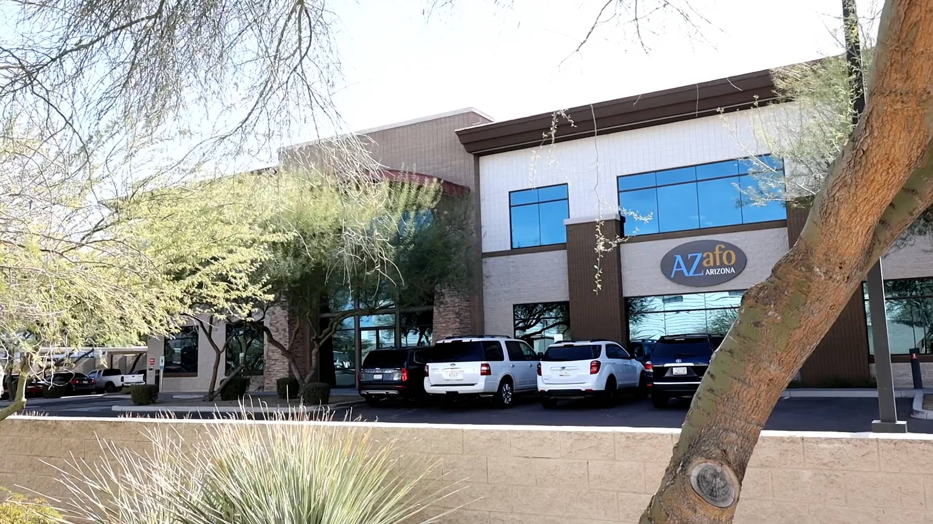 AZ AFO Arizona Brace.mp4 on Vimeo