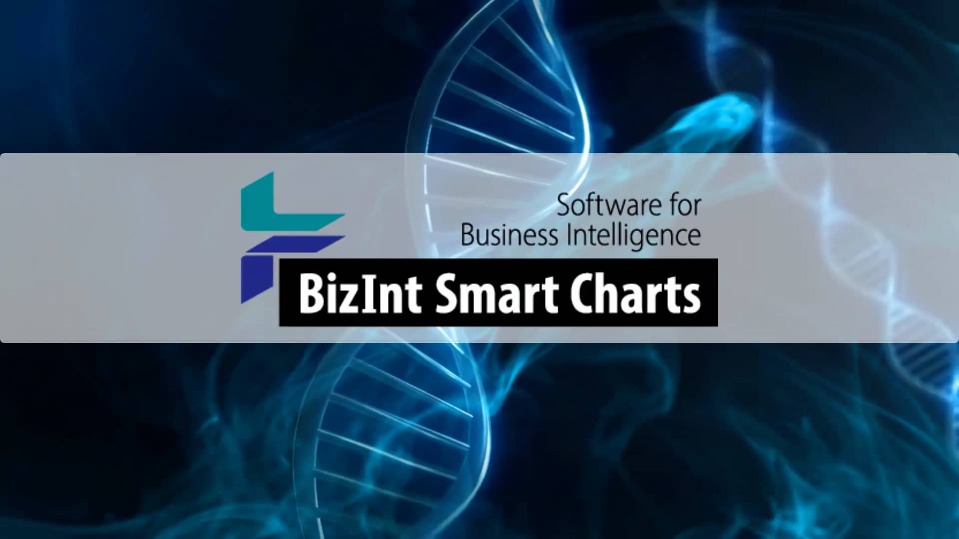 BizInt - 25th Anniversary - PIUG May 2022 on Vimeo