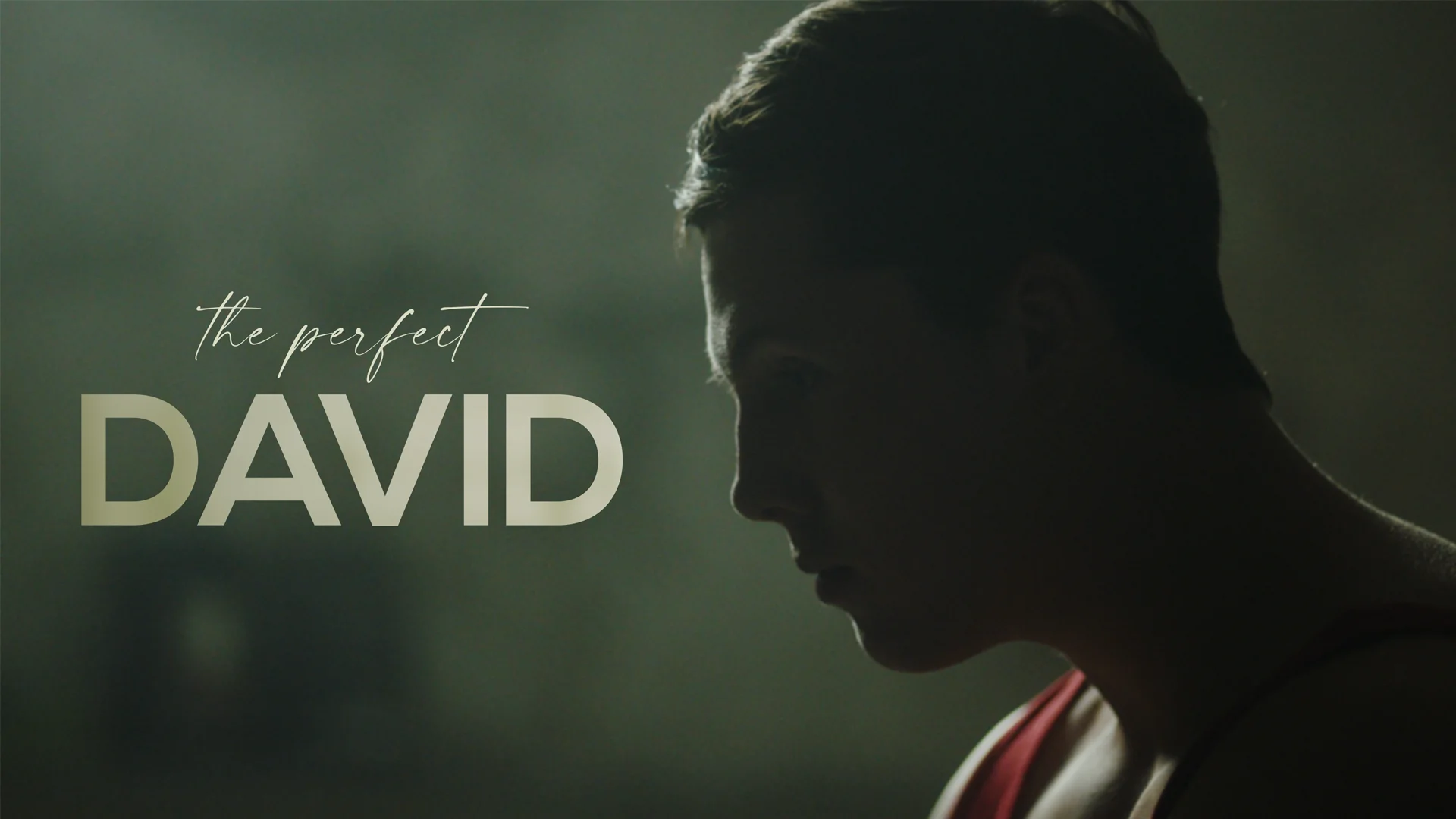 Watch The Perfect David Online | Vimeo On Demand on Vimeo
