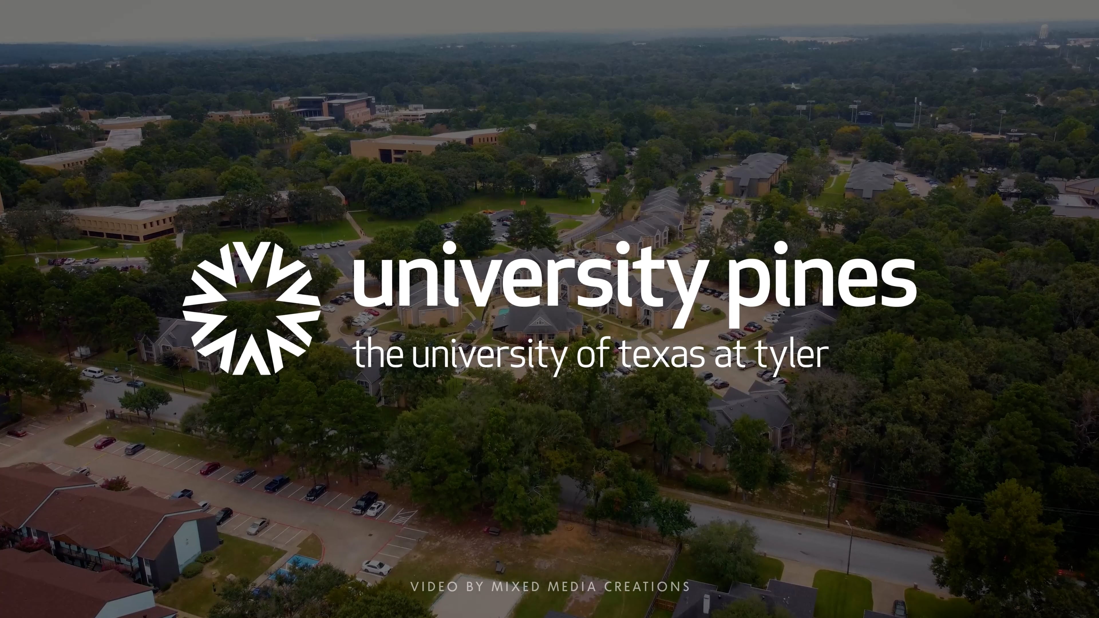 UNIVERSITY PINES.mp4 on Vimeo
