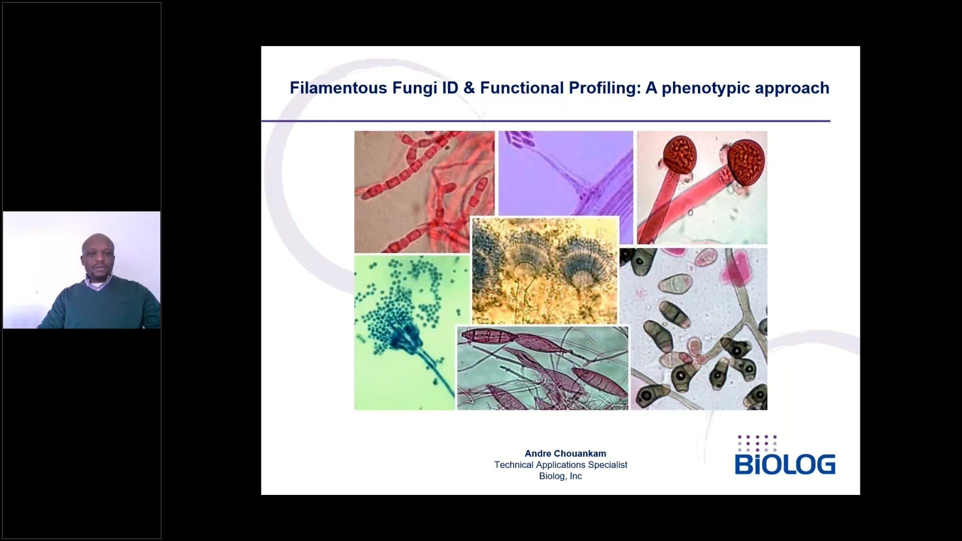 Filamentous Fungi ID & Functional Profiling: A Phenotypic Approach on Vimeo