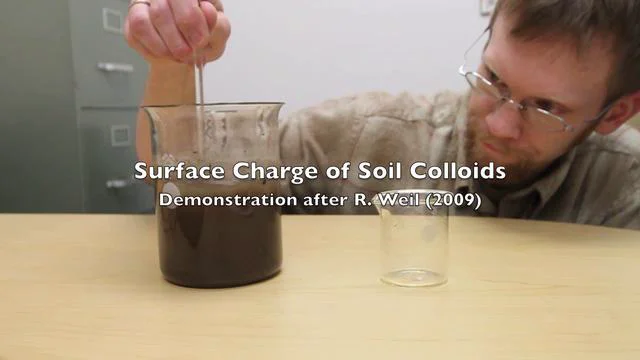 The Surface Charge of Colloidal Soil Particles on Vimeo