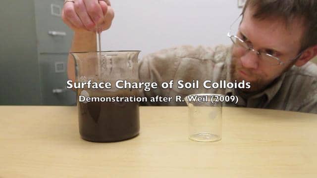 The Surface Charge of Colloidal Soil Particles on Vimeo