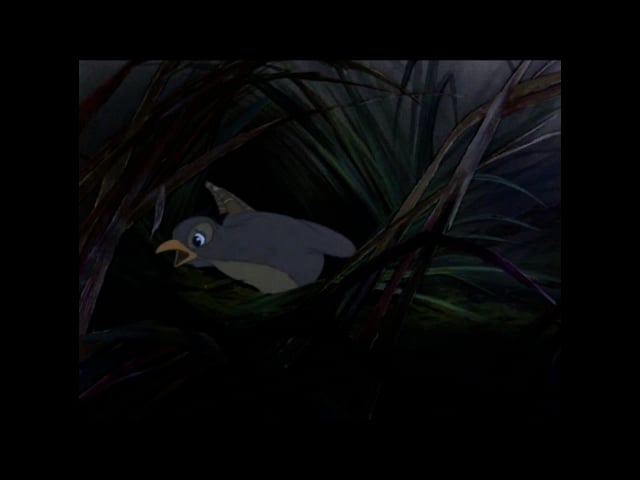 William Heiden on Vimeo