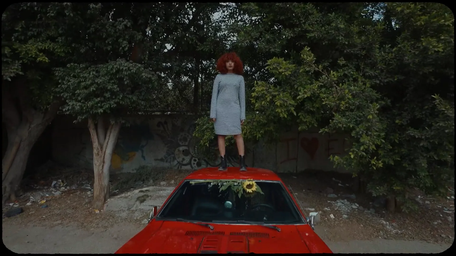 RED on Vimeo