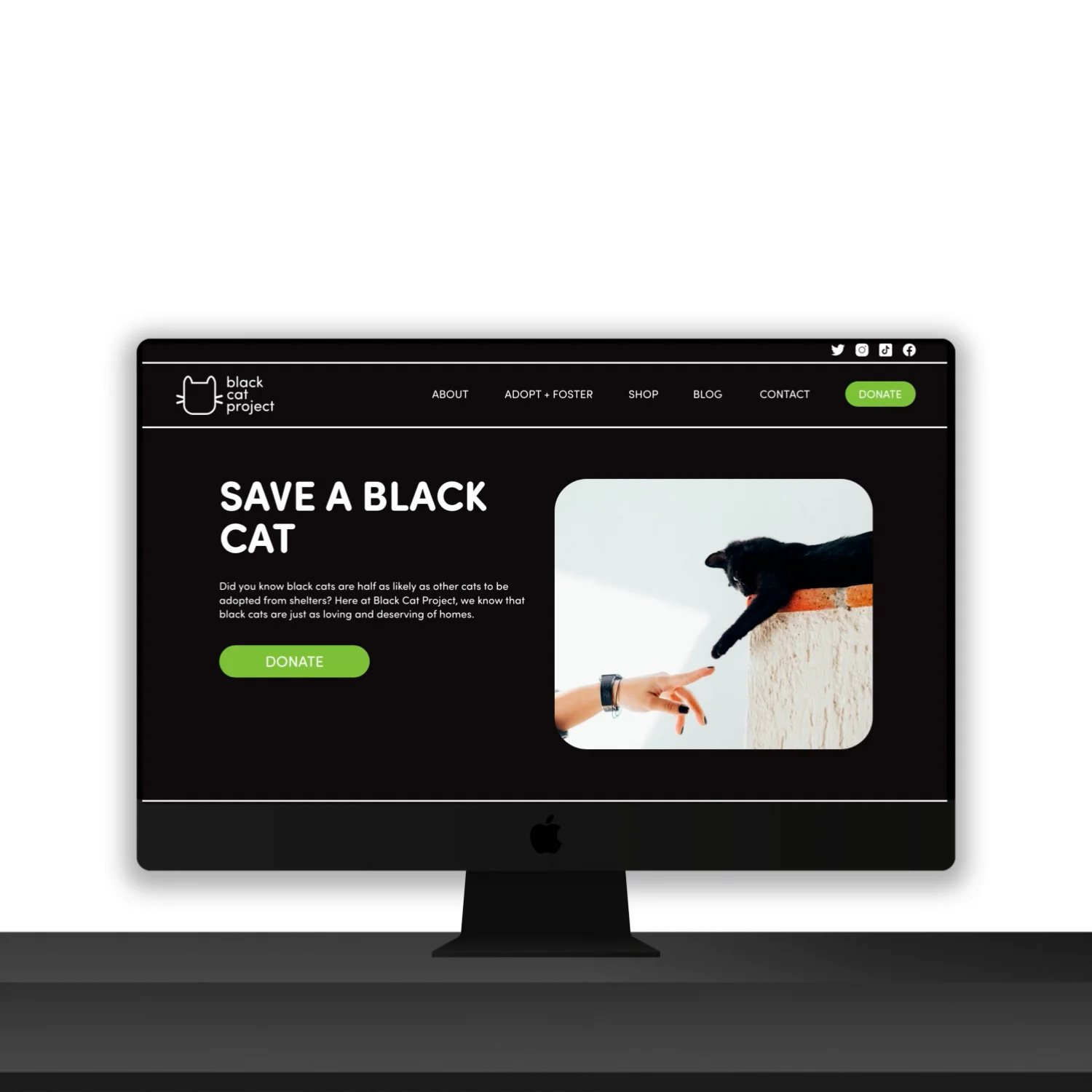 Black Cat Project Home Page on Vimeo