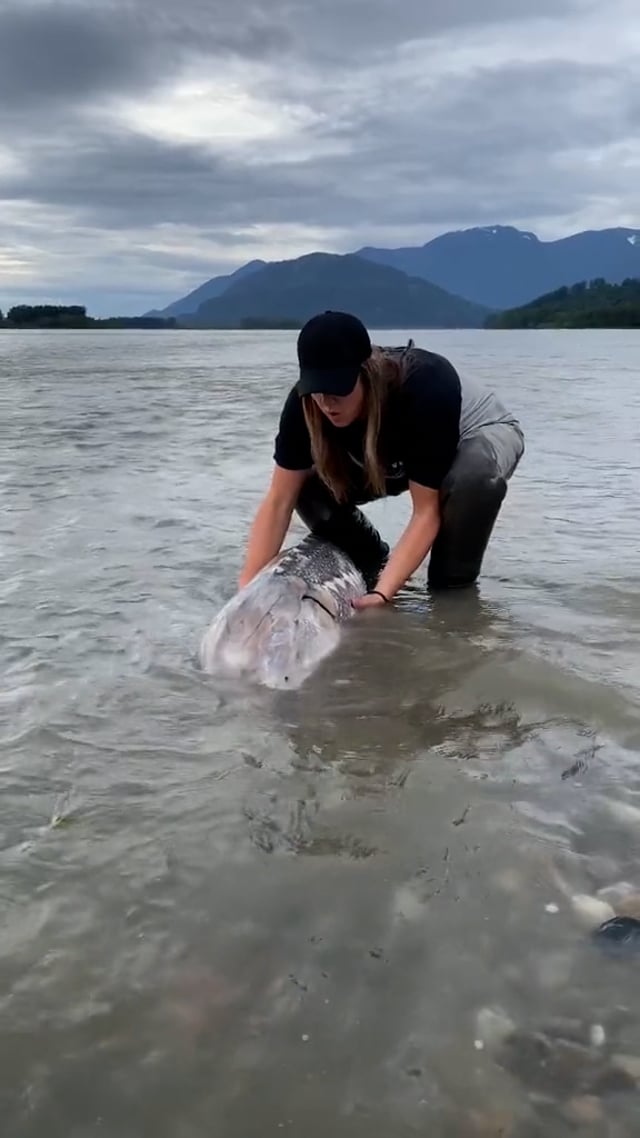 Chris Willamina Teresina on Vimeo