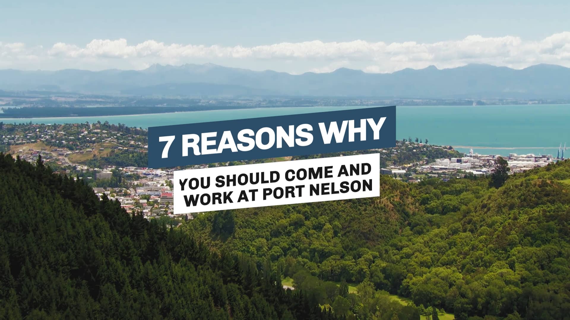 7 Reasons Why You should Work at Port Nelson - 1 minute on Vimeo