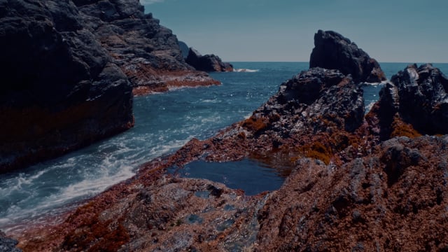 Kayak Videos: Download 38+ Free 4K & HD Stock Footage Clips - Pixabay