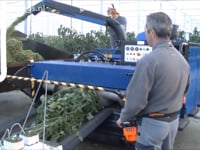 Bio Chopper Compact TI530 Shredder | Weterings Machinery