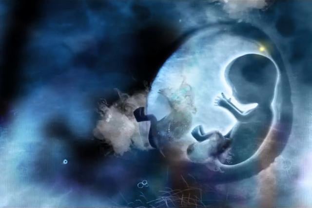 Fringe - Embryo on Vimeo