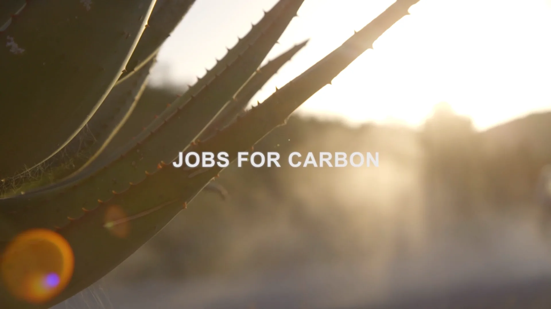 EU | NT - Jobs for Carbon on Vimeo