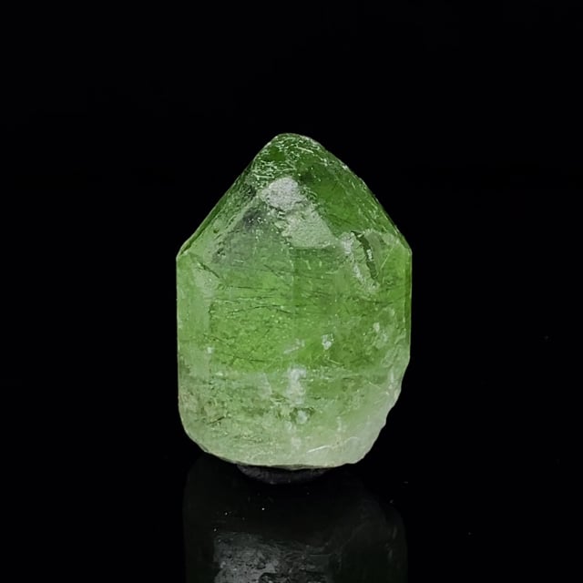 Peridot (GEMMY crystal) with Ludwigite inclusions (ex Bill and Anne ...
