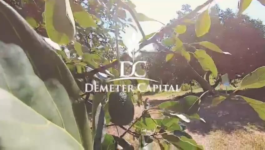 Demeter Capital-Video-English on Vimeo