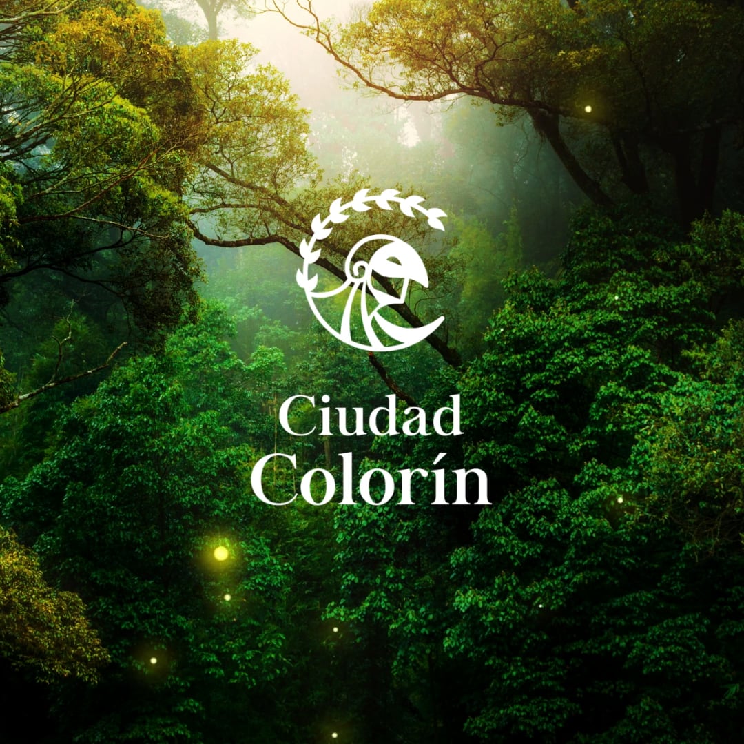 Animación de logo | Ciudad Colorín on Vimeo