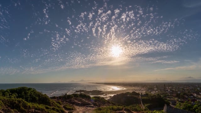 Tree, Sea, Sky. Free Stock Video - Pixabay