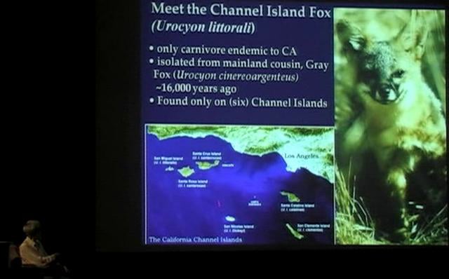 Professor William "Bill" Freudenburg: A Tribute on Vimeo