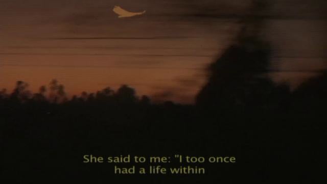 Watershed - Amy Mall and Sherwin Ovid on Vimeo