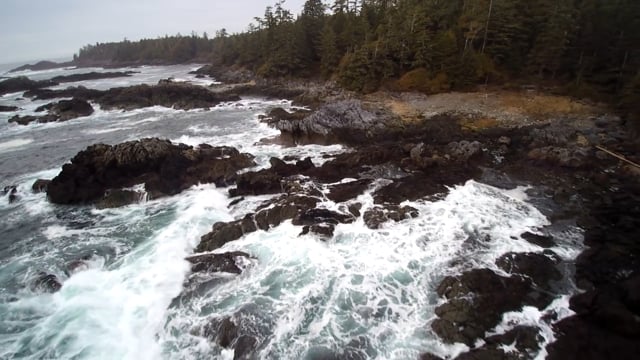 Alexis Small Samples on Vimeo