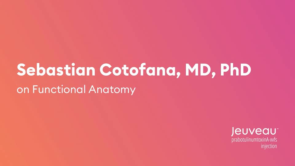 VIDEO_COTOFANA CADAVER ANATOMY & INJECTION TECHNIQUE on Vimeo