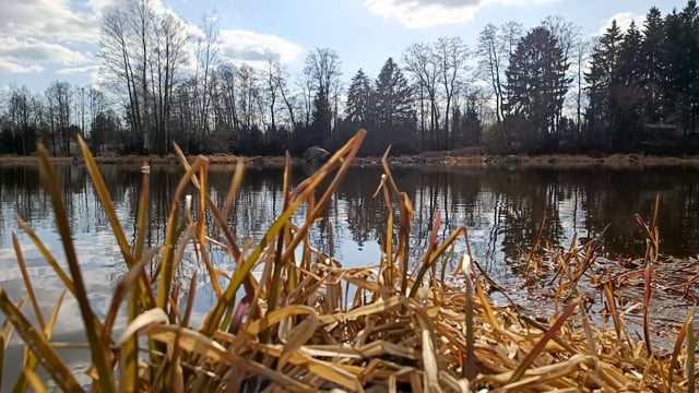 Lago Paisaje Naturaleza - Free video on Pixabay - Pixabay