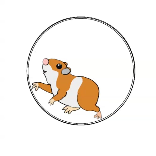 Hamster Run Running Wheels Free Stock Video - Pixabay