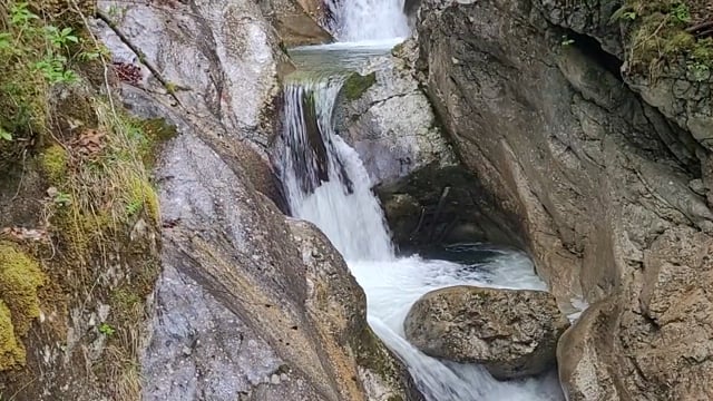 Torrent Waterfall Forest - Free video on Pixabay