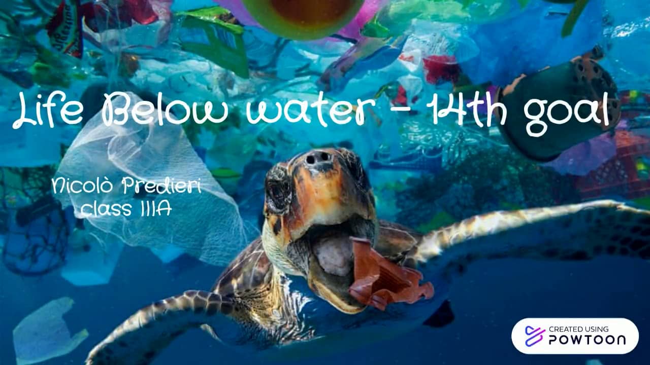 Life below water - Agenda 2030 goal 14 on Vimeo