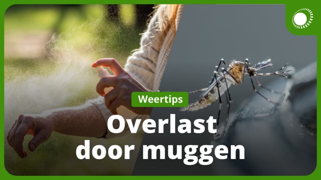 Weer Amsterdam - Meerdaagse weersverwachting Amsterdam | Weeronline