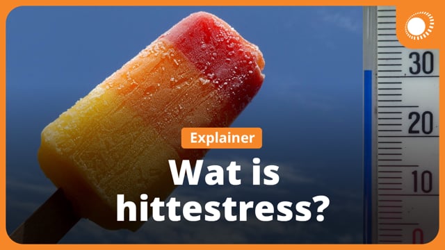 Weer Amsterdam - Meerdaagse weersverwachting Amsterdam | Weeronline