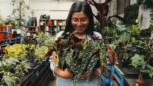 VM Digital Reviews | View Portfolios | DesignRush