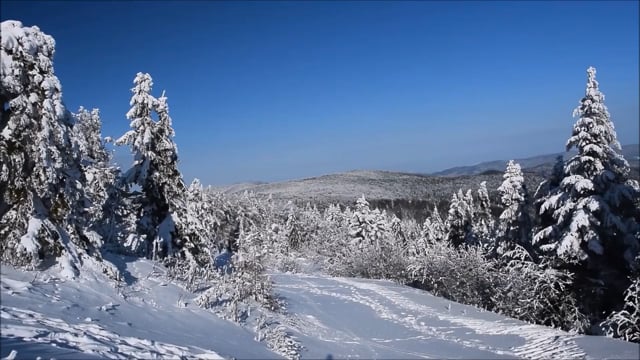 Bronwyn Yates Channel on Vimeo