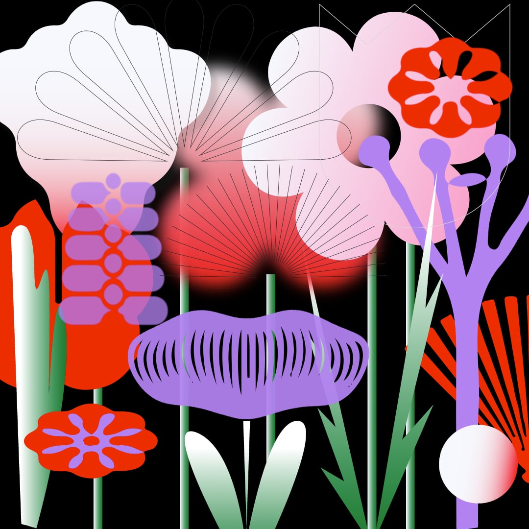 flowers on Vimeo
