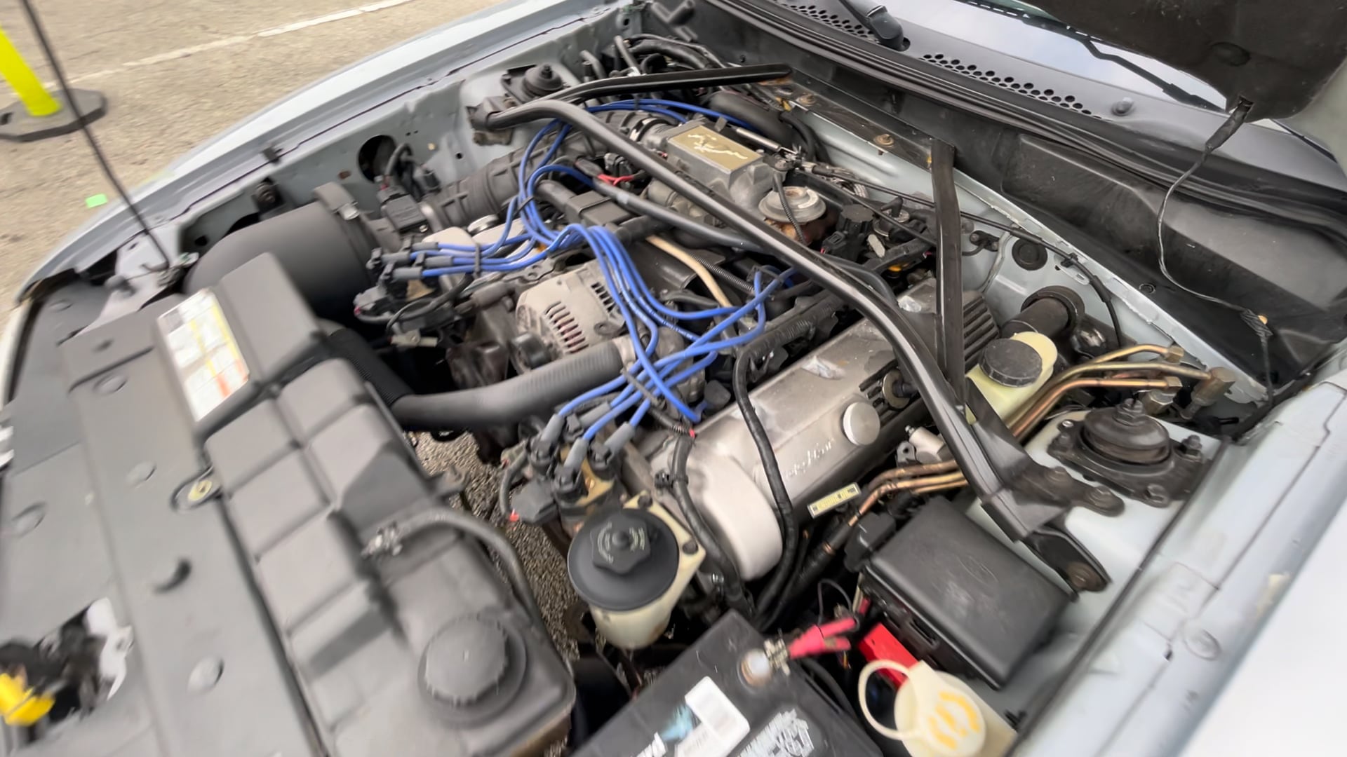 1996 Ford Mustang GT | J246 | Indy 2022