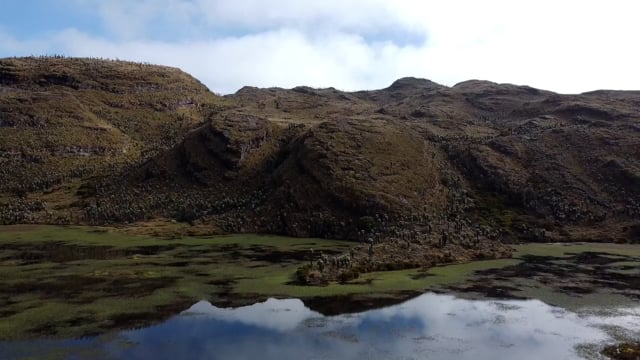 Boyacá Moor Landscape Free Stock Video - Pixabay