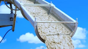 The Scale of Concrete