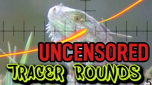 Iguana Hunting With Tracer Rounds | Head Shots - Airgun101