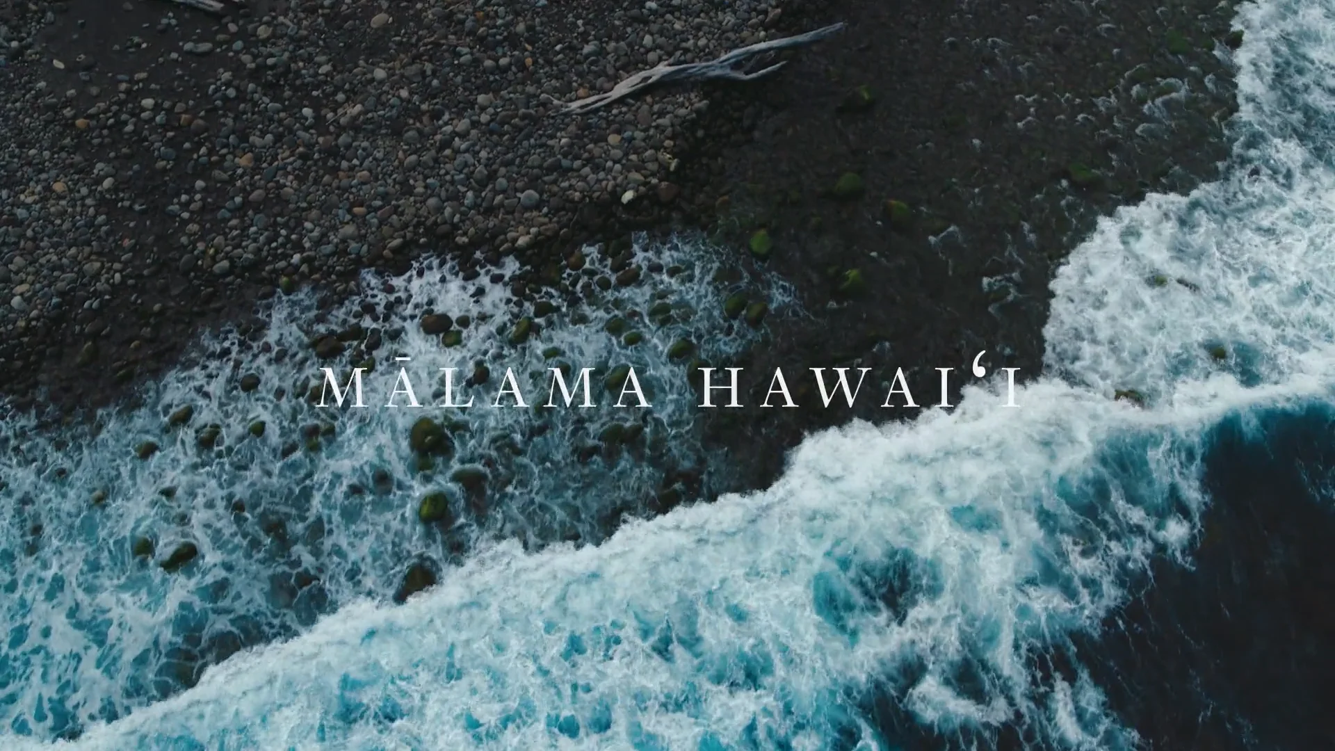 Kiai Collier – Habitat Restoration on Vimeo