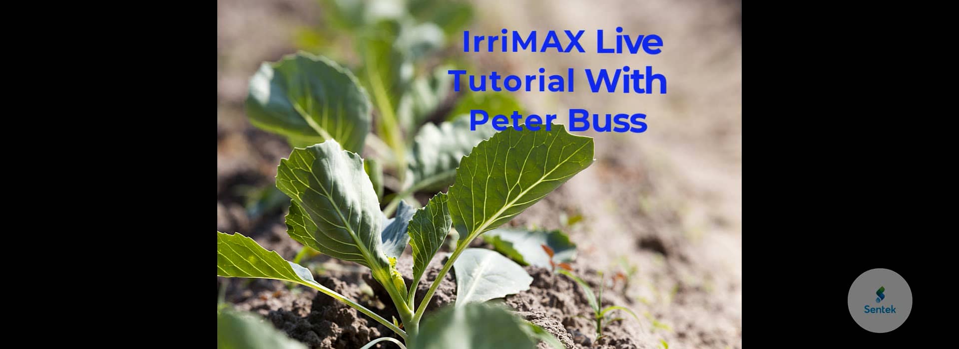 IrriMAX Live Training with Peter Buss on Vimeo