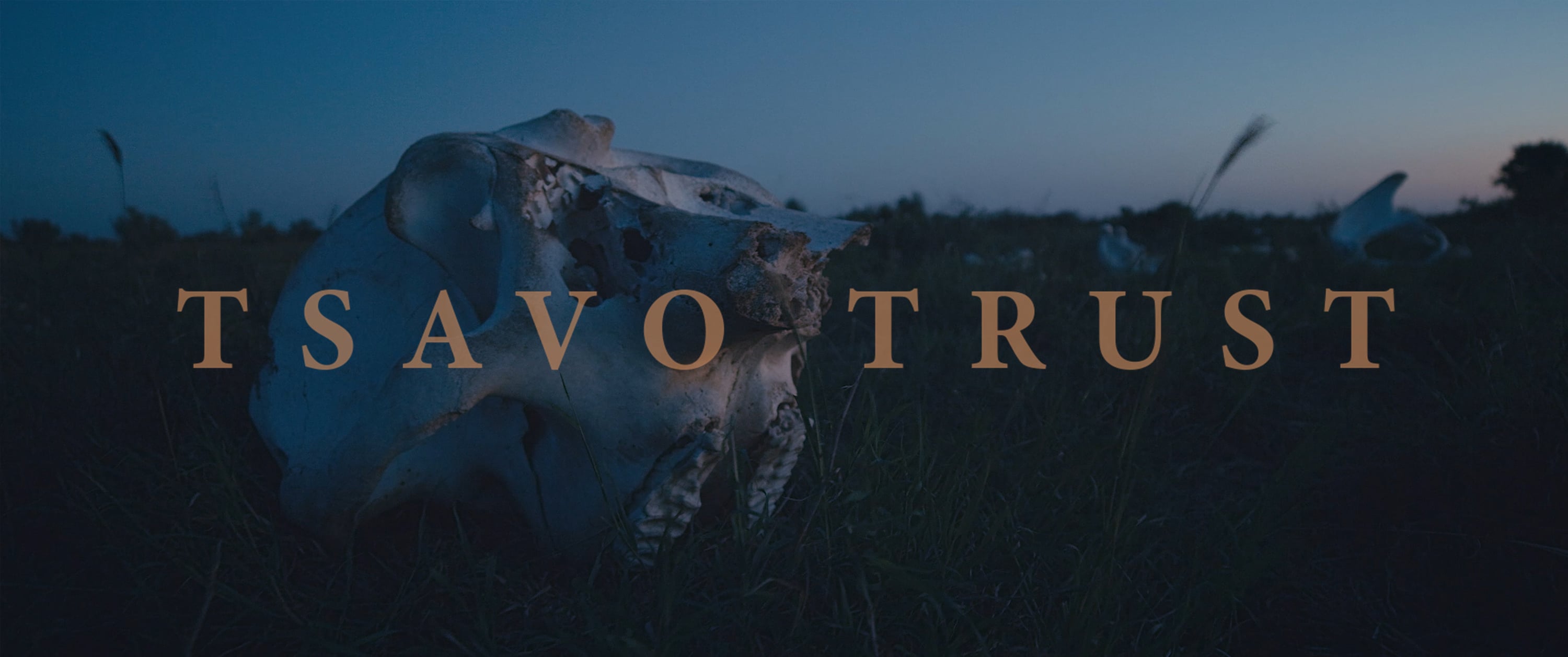 Tsavo Trust | Videos & Movies on Vimeo