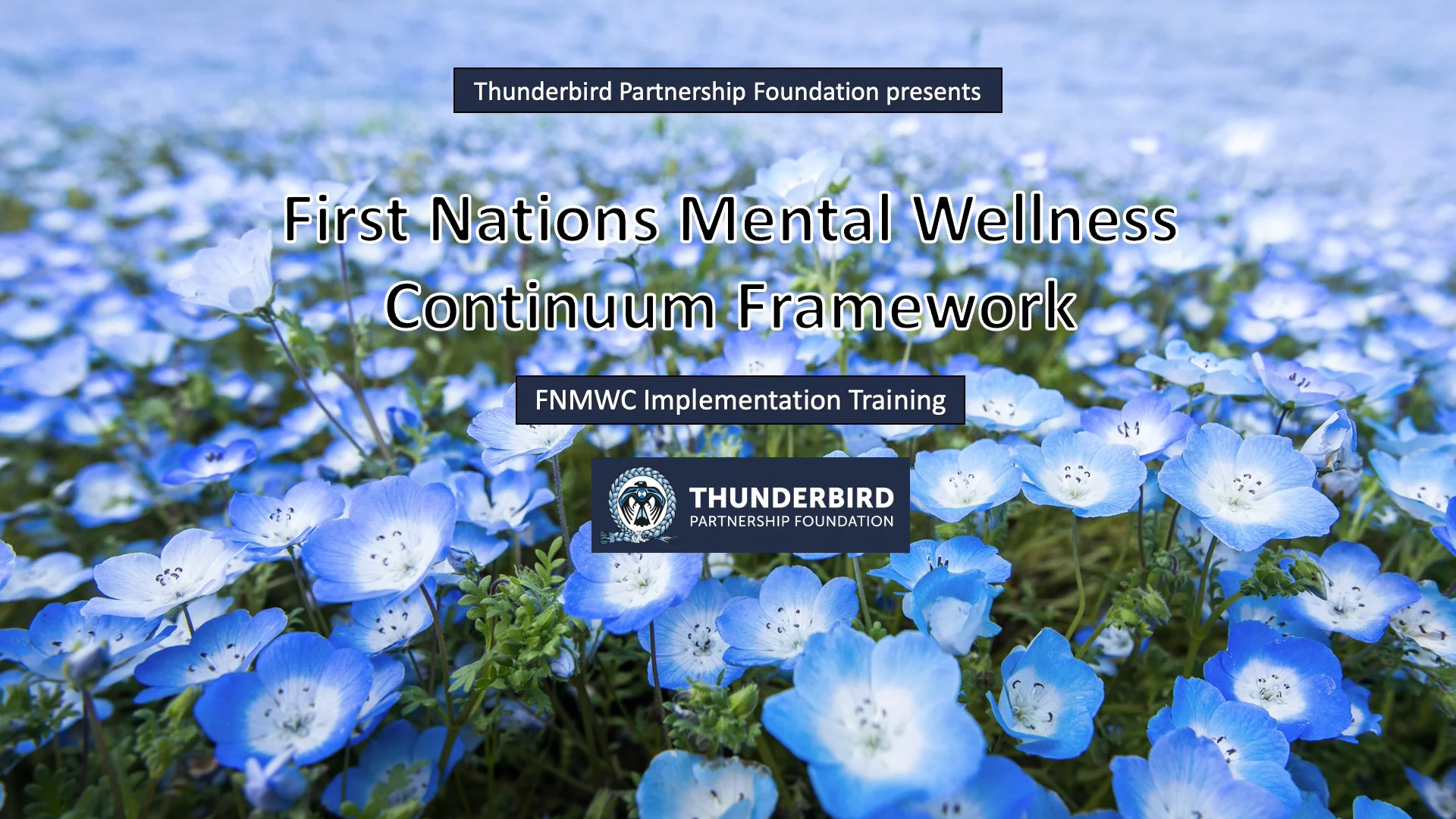 First Nations Mental Wellness Continuum (FNMWC) Trailer
